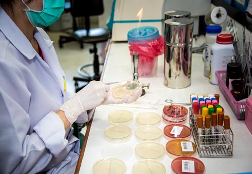 What Is A Pathologist And What Does A Pathologist Do? - A Guide To Pathology Medicine